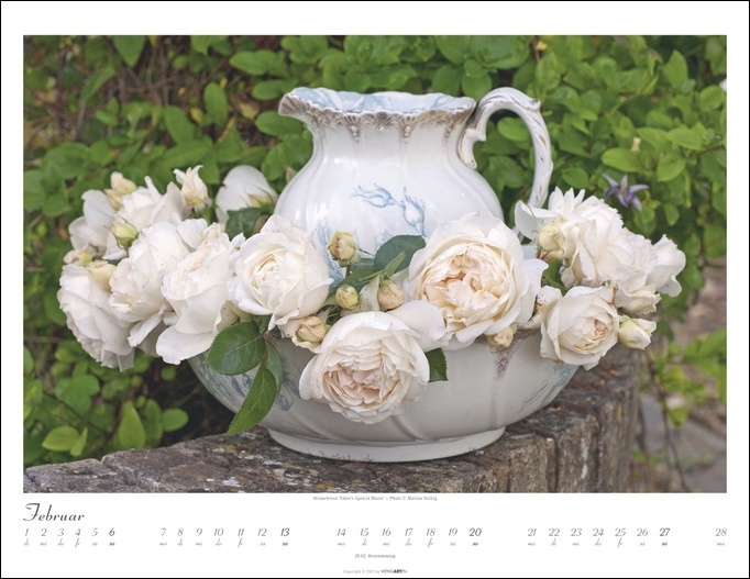 Garten-Boom mit Fotografin Marion Nickig - Athesia Kalenderverlag GmbH