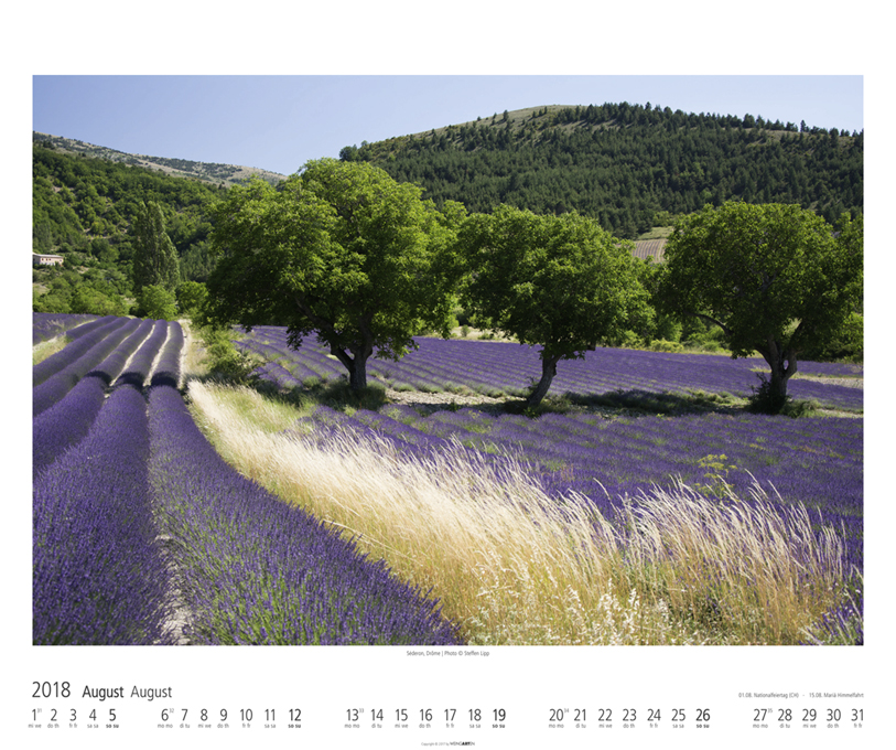 Steffen Lipp – DER Provence-Fotograf: "Auf dem Höhepunkt seiner Kunst ...